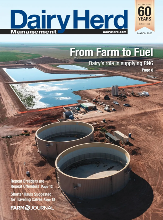 Dairy Herd Management - March 2023 | Dairy Herd